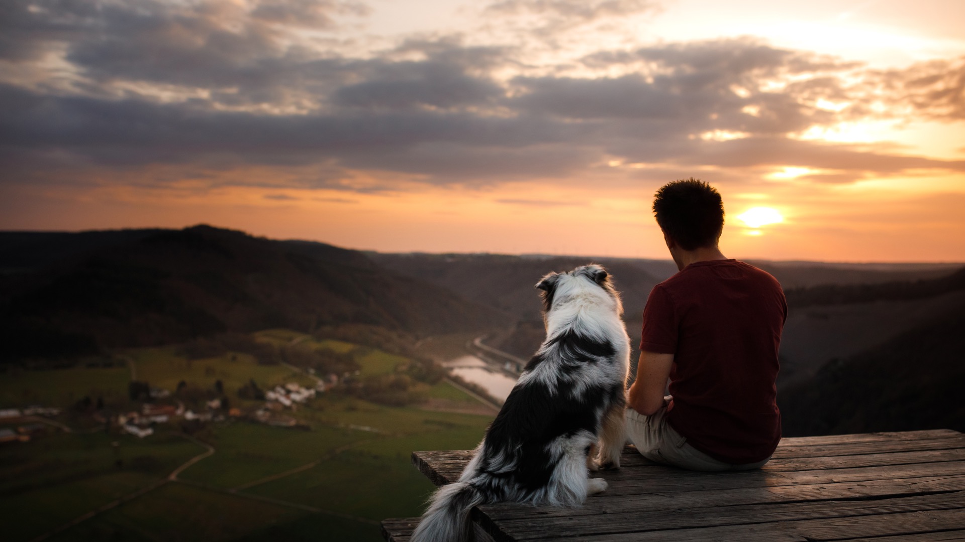 What Animal Minds Reveals About Human Intelligence | How To Academy
