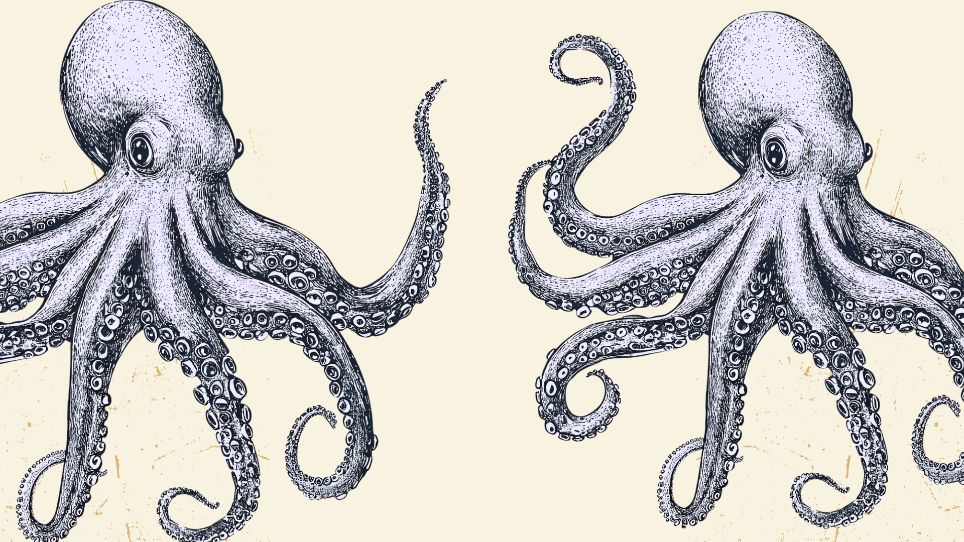 Craig Foster, Creator of My Octopus Teacher | How To Academy