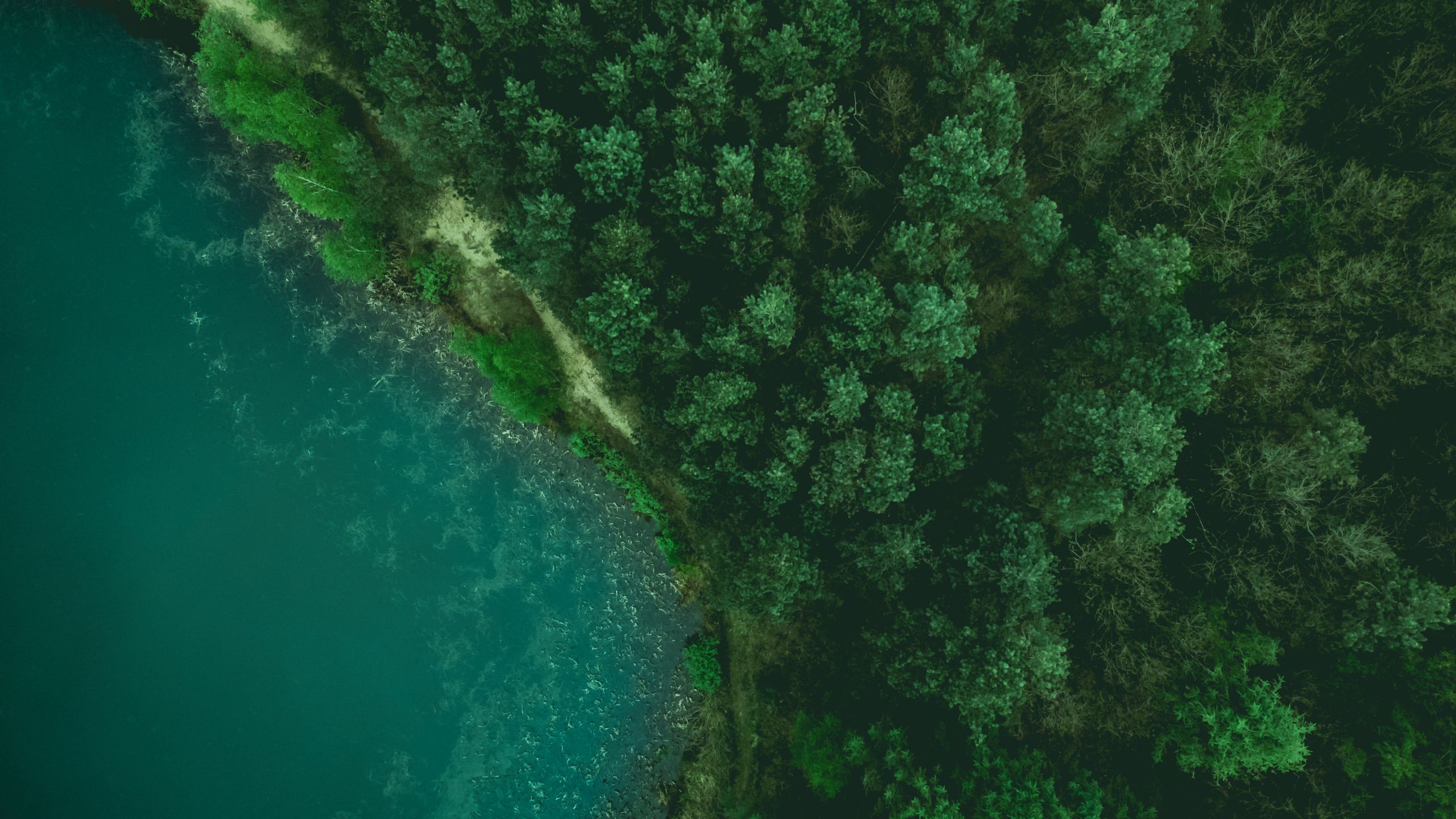 How to Solve Climate Change in 50 Questions and Answers | How To Academy