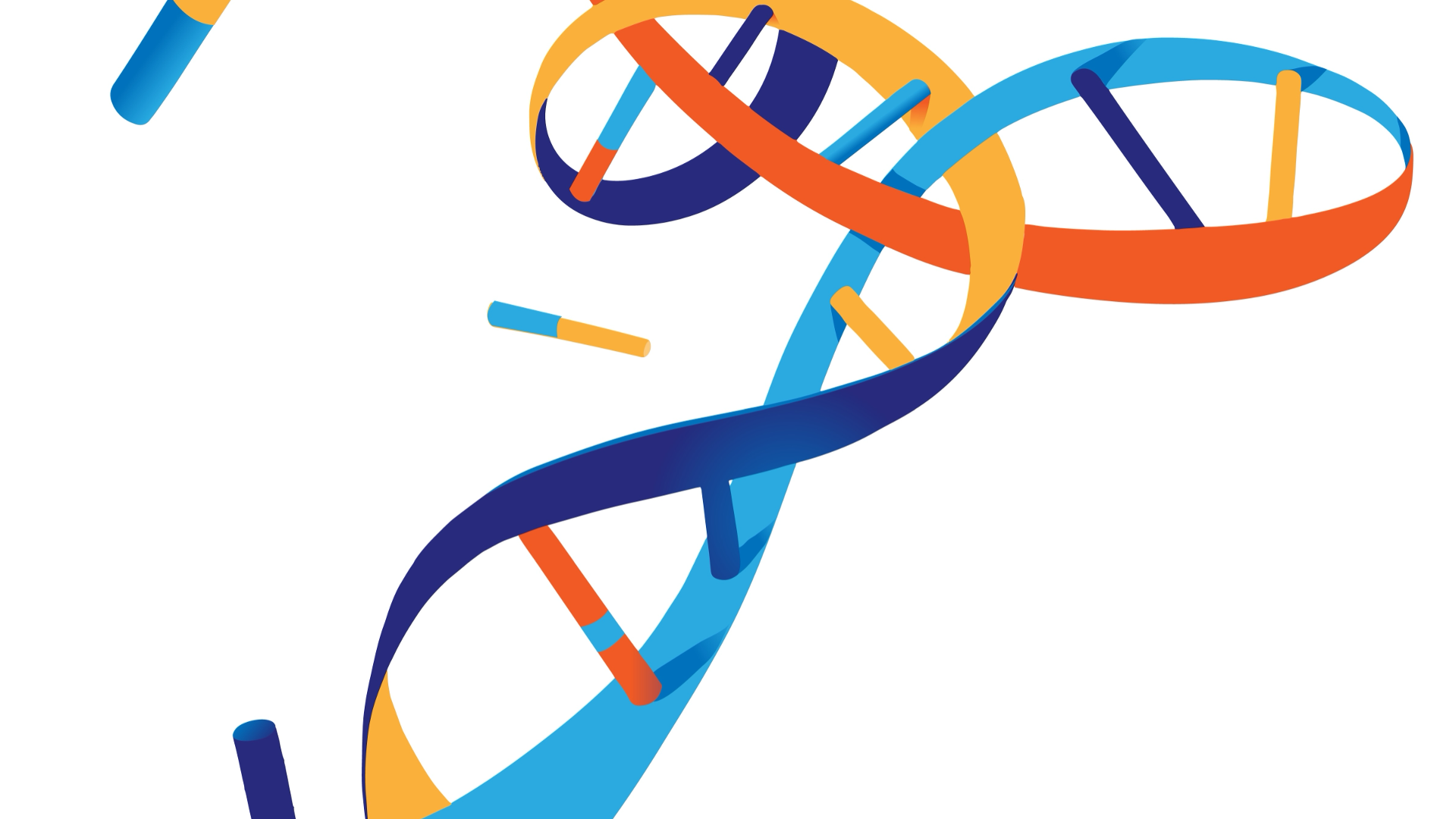 Herman Pontzer – The Surprising Science of Human Diversity | How To Academy